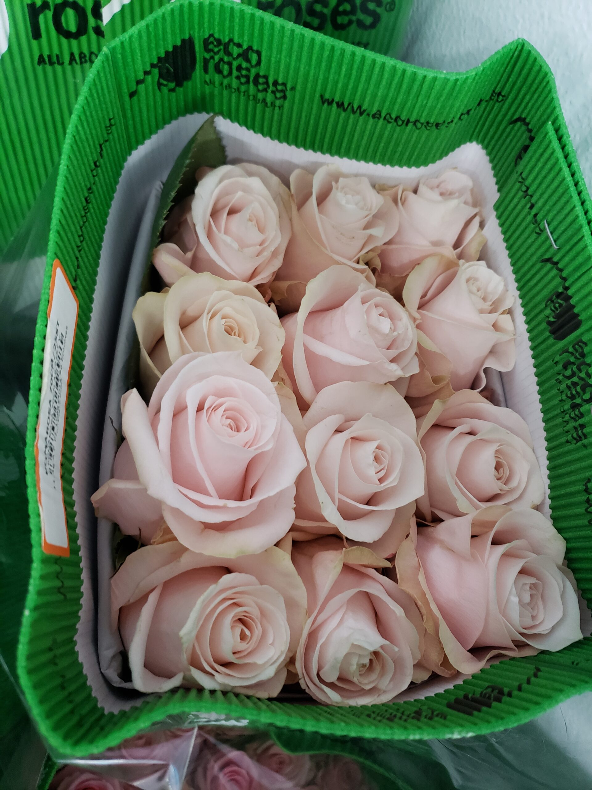 Roses – Northwest Wholesale Florists